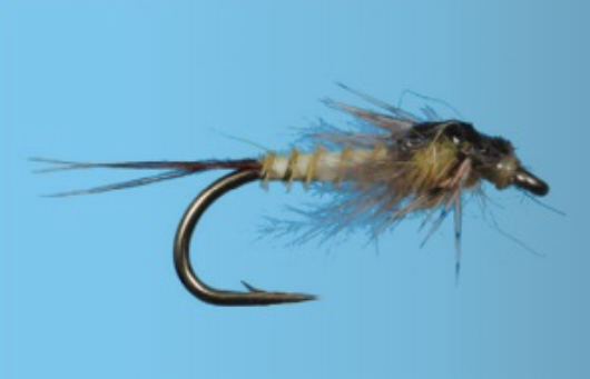 Epoxy Back PMD Emerger – Bow River Troutfitters