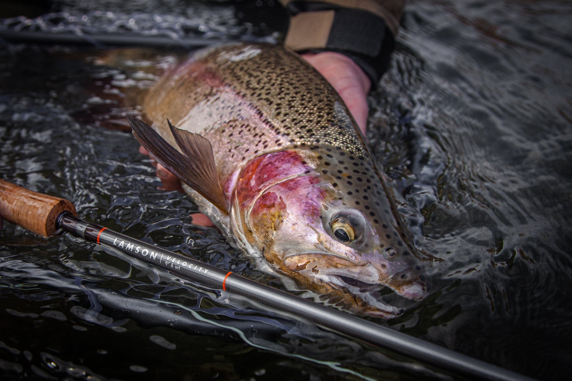 Lamson Velocity Fly Rods – Bow River Troutfitters