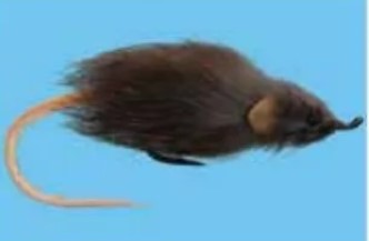 Wotton Hair Mouse – Bow River Troutfitters