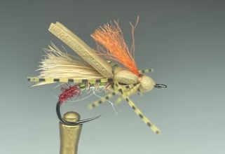 Bank Shot Hopper – Bow River Troutfitters