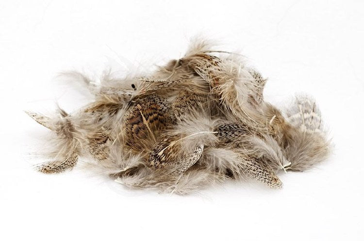 Partridge Feathers – Bow River Troutfitters