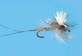 Sexy Hex Spinner – Bow River Troutfitters